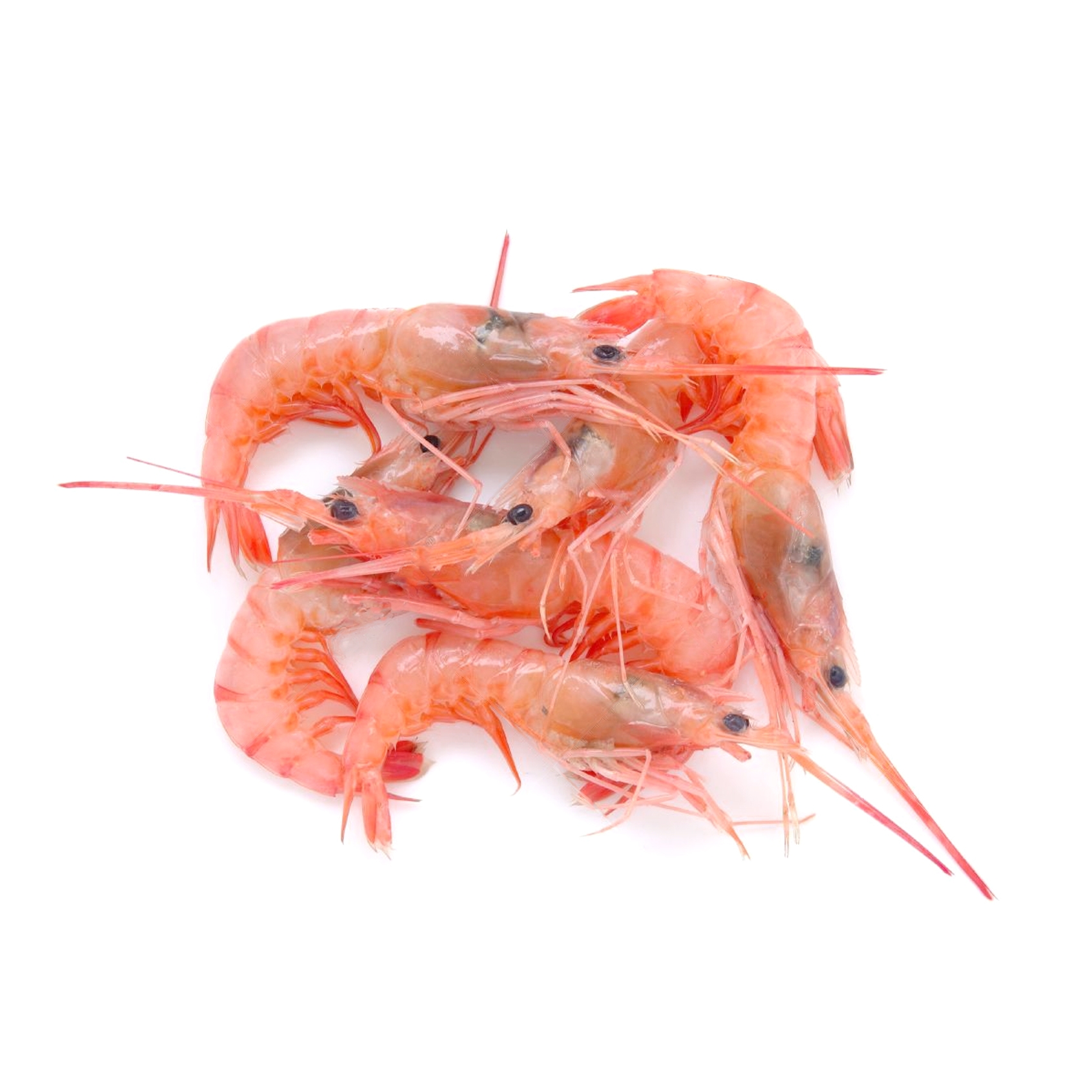 Gambero Rosa - Mare in tasca L'Aquila